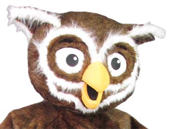 You brought Mr. Owl to life right in front of our eyes! - Sugars Mascot ...